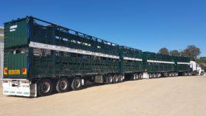 Cannon Trailers Livestock Cattle Trailer manufacturers makers of Beef Bus