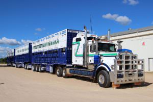 Gallery | Cannon Trailers